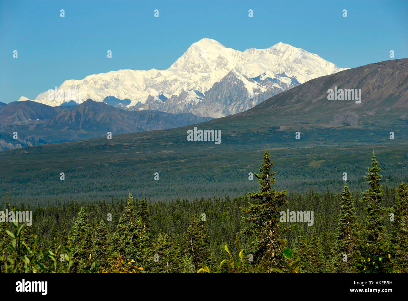 View of Denali Mt McKinley Denali National Park Alaska AK U S United ...