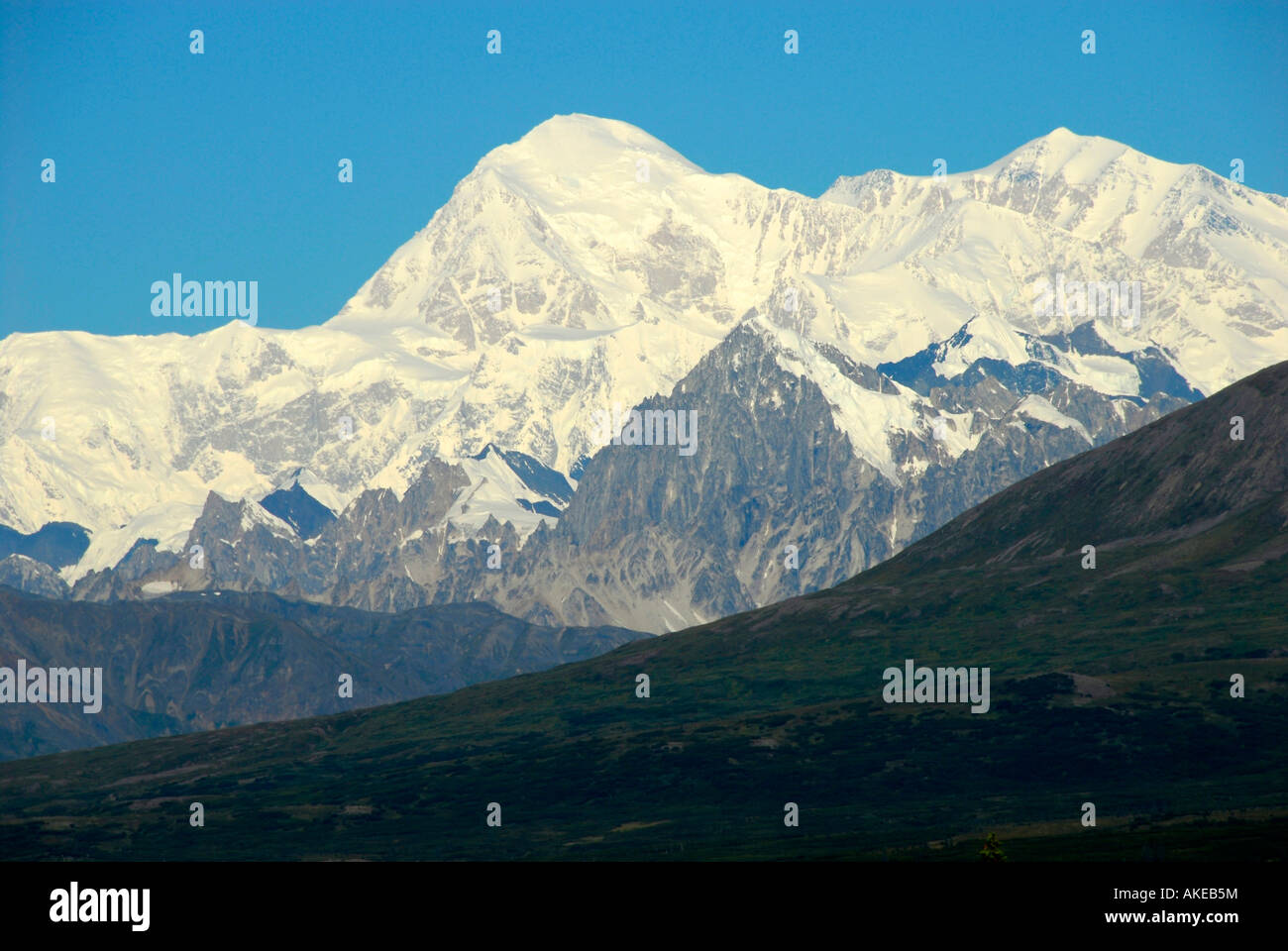 View of Denali Mt McKinley Denali National Park Alaska AK U S United ...