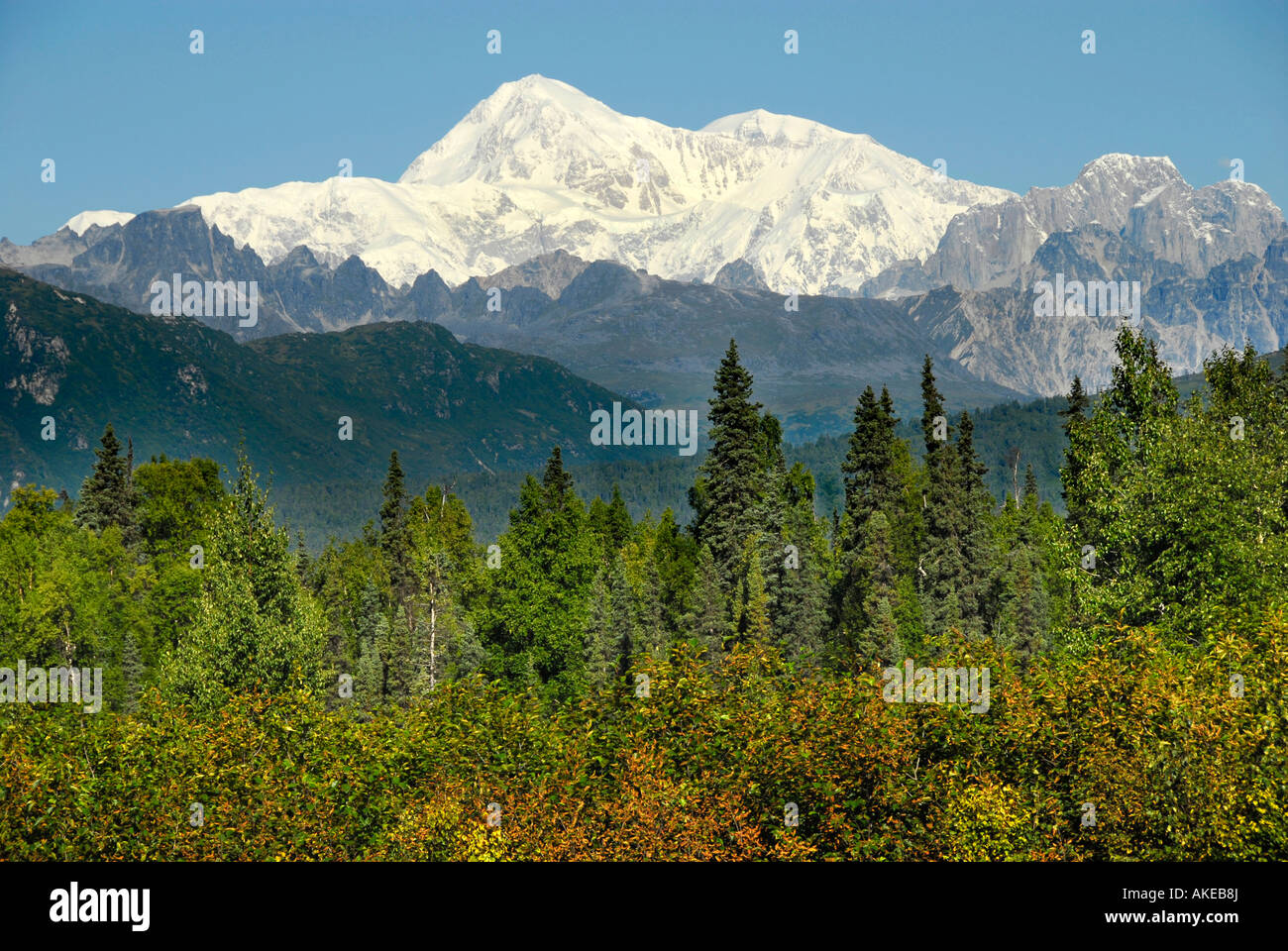 Family vacation alaska denali hi-res stock photography and images - Alamy