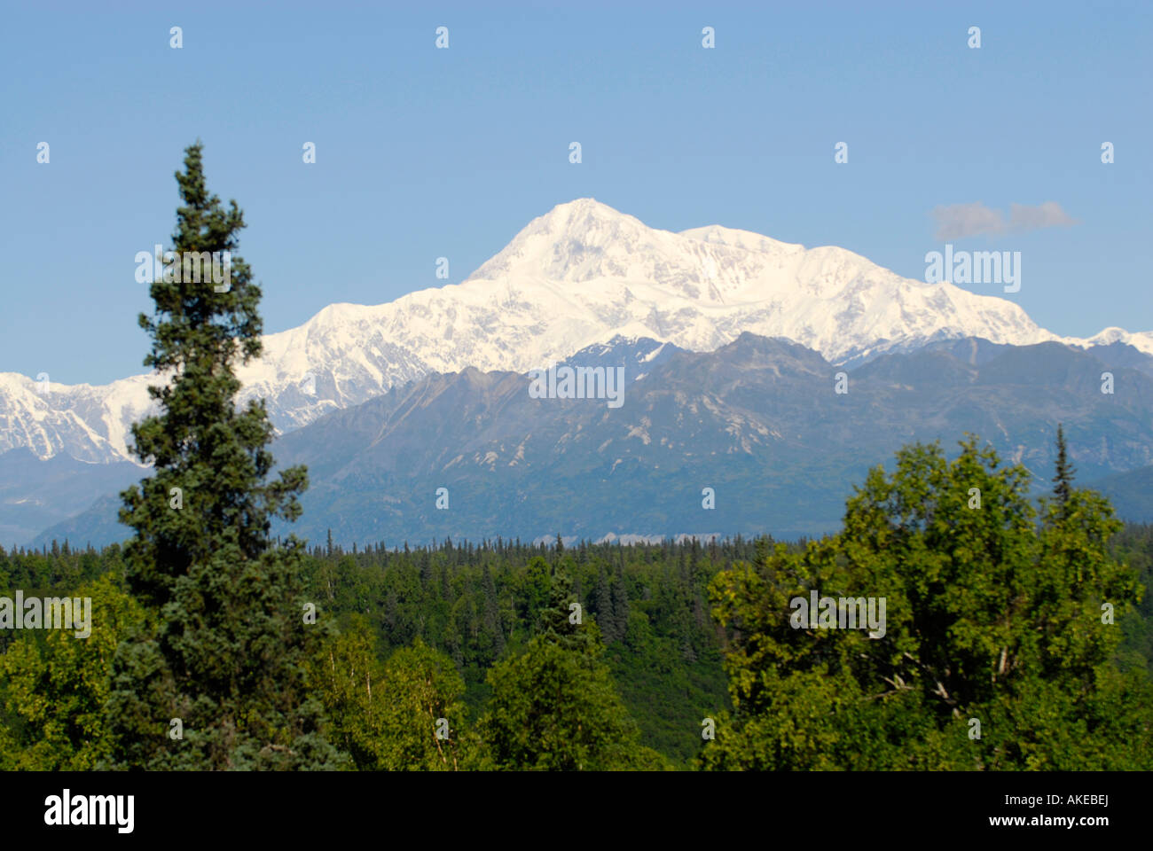 View of Denali Mt McKinley Denali National Park Alaska AK U S United ...