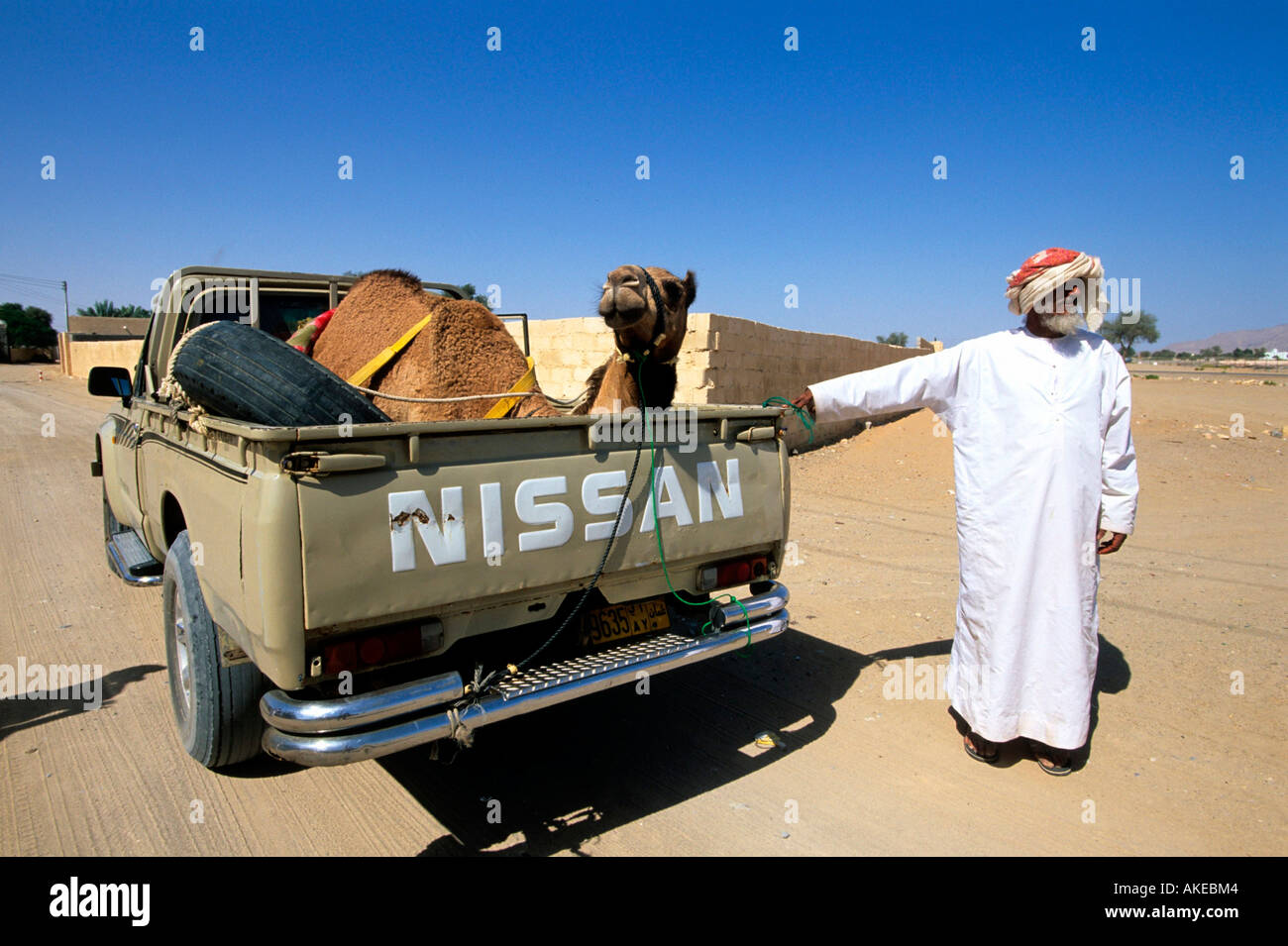 Al kamel hi-res stock photography and images - Alamy