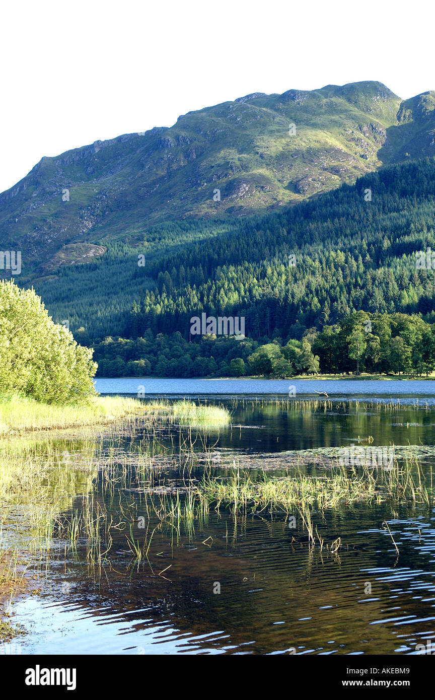 Strathyre, scotland hi-res stock photography and images - Alamy