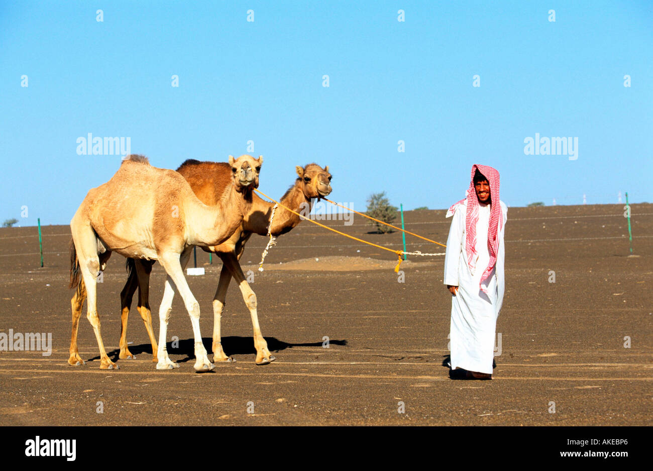 Al wafi hi-res stock photography and images - Alamy