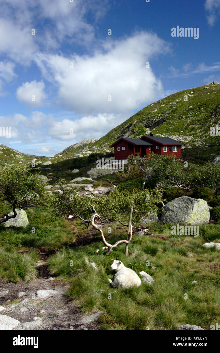 Sheep hut and mountains in Norway near Aseral Stock Photo - Alamy