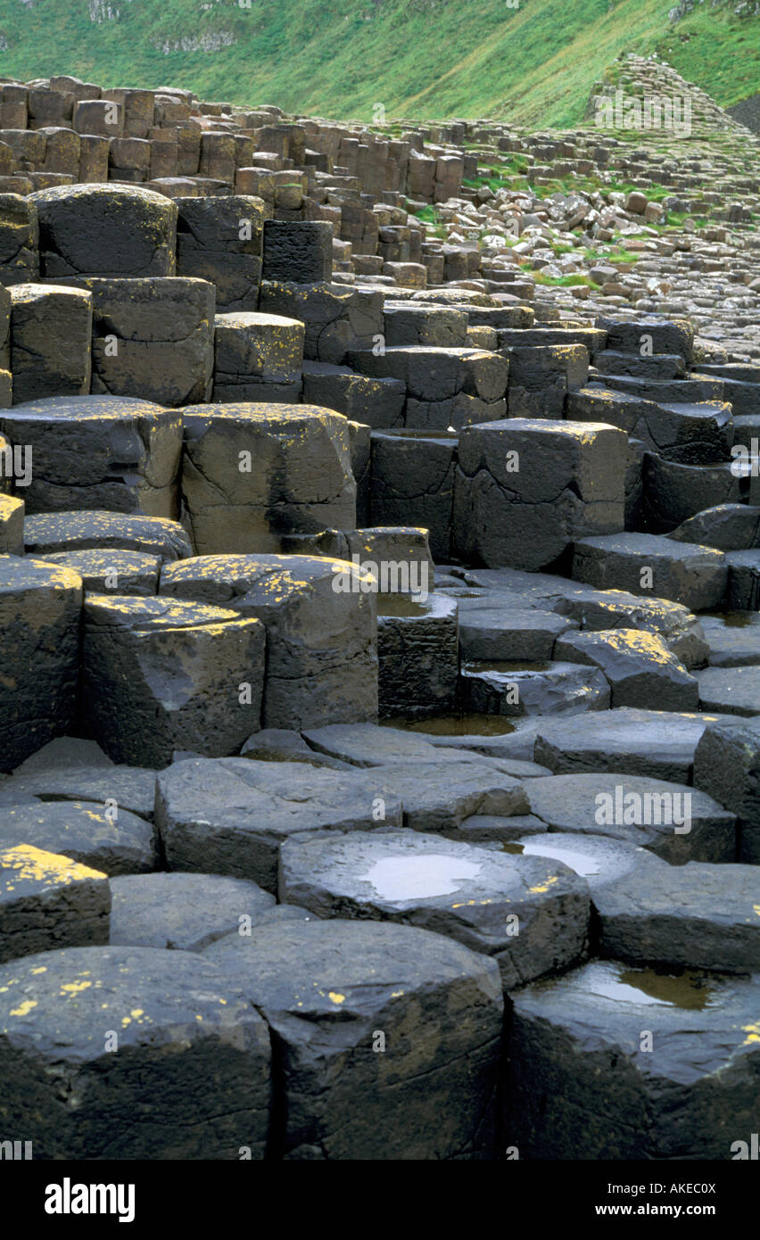 giant's causeway, causeway coast, north ireland Stock Photo - Alamy