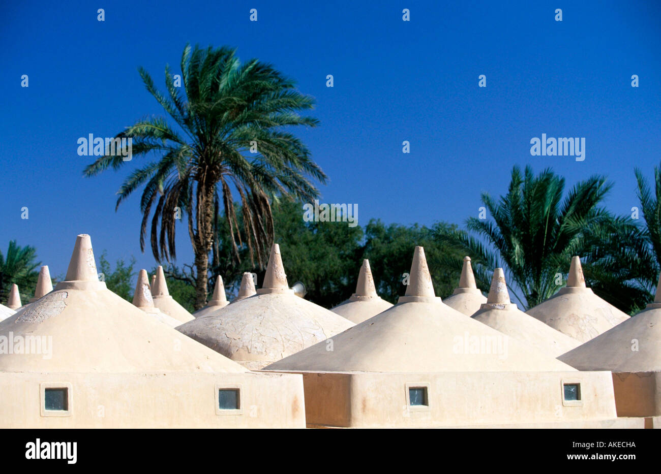 Al hamoda hi-res stock photography and images - Alamy