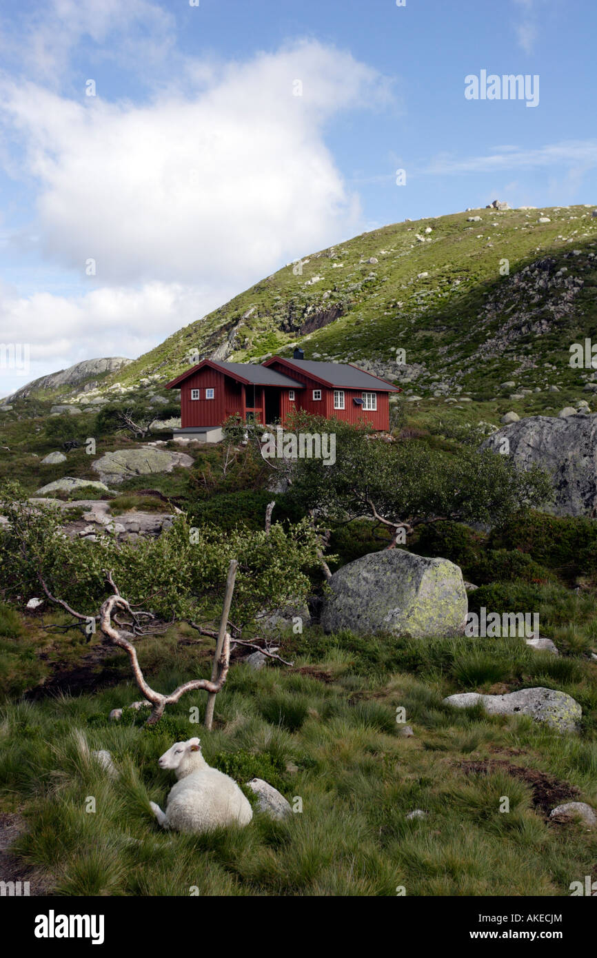 Sheep hut and mountains in Norway near Aseral Stock Photo - Alamy