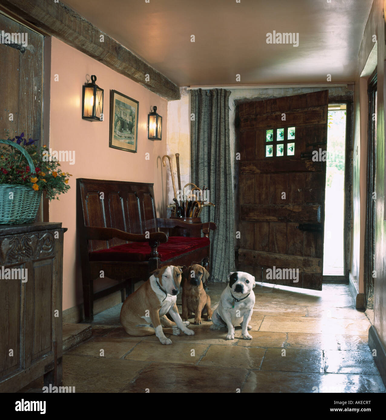 Hall of the animals hi-res stock photography and images - Alamy