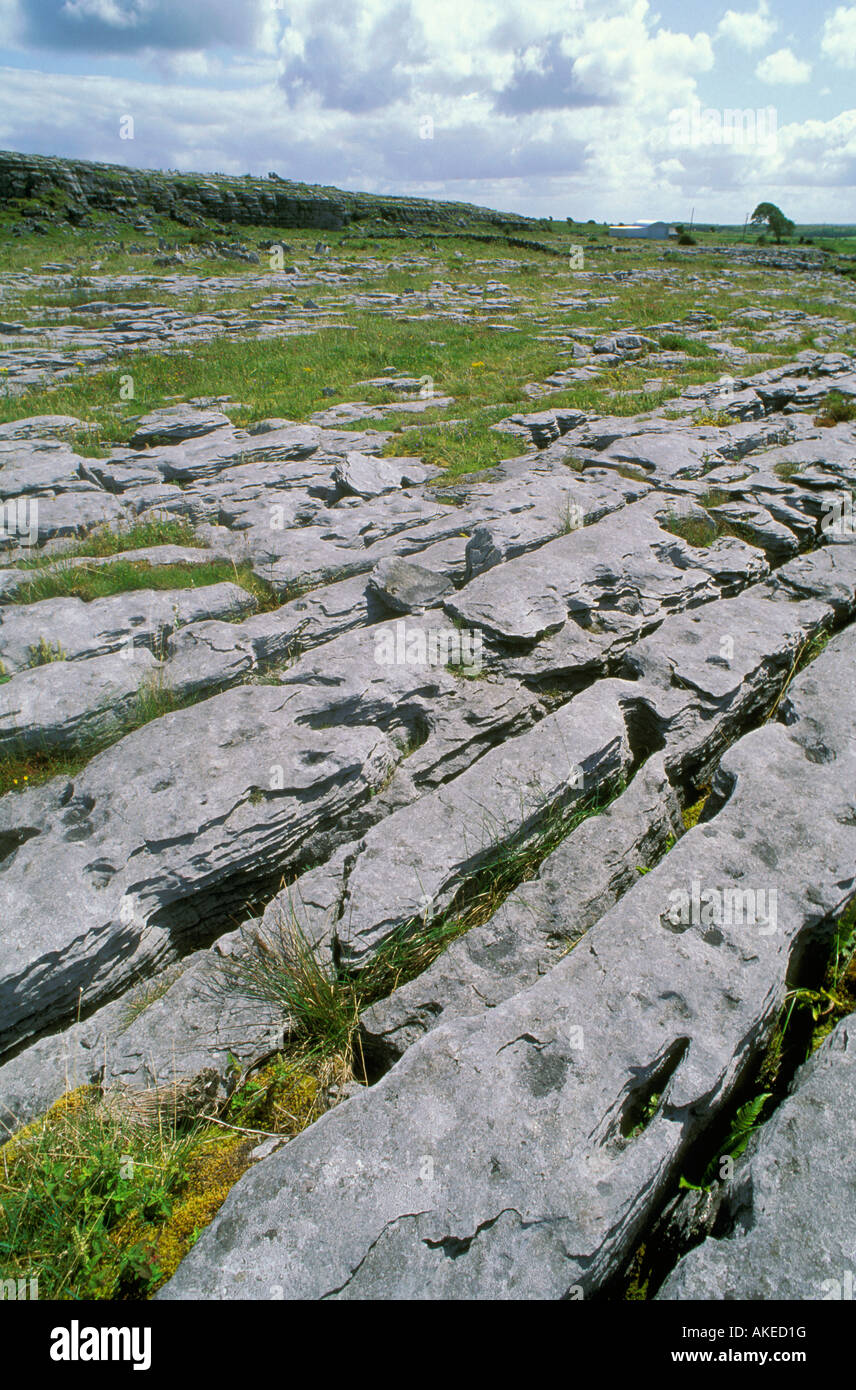 limestone landscape, burren, south ireland Stock Photo - Alamy