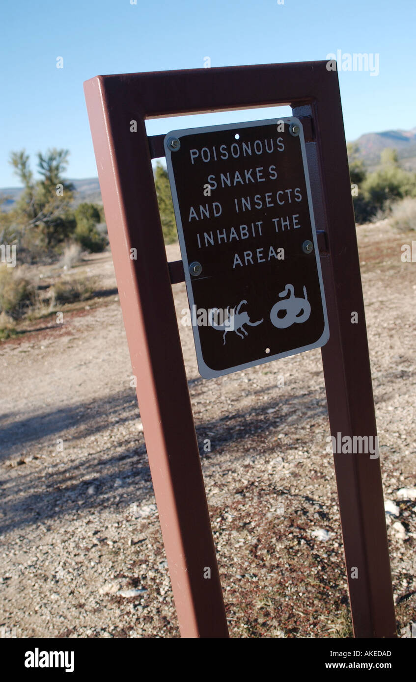 Usa venomous snakes hi-res stock photography and images - Alamy