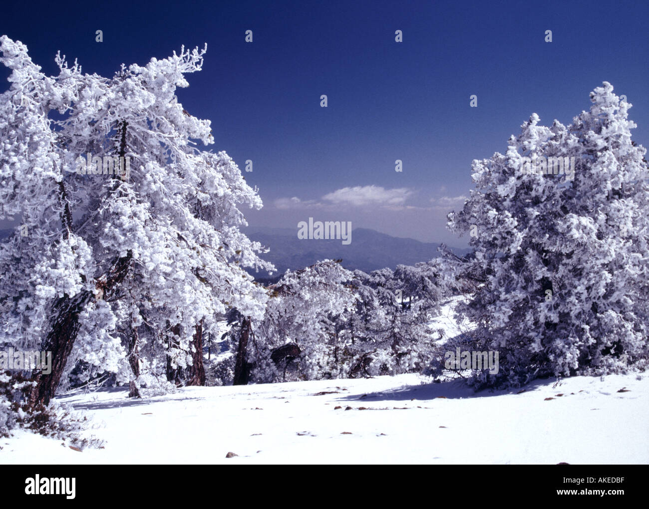 Troodos snow mountains hi-res stock photography and images - Alamy