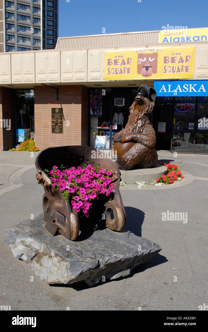 Street Wildlife Bear in front of shops in Downtown Area Anchorage ...