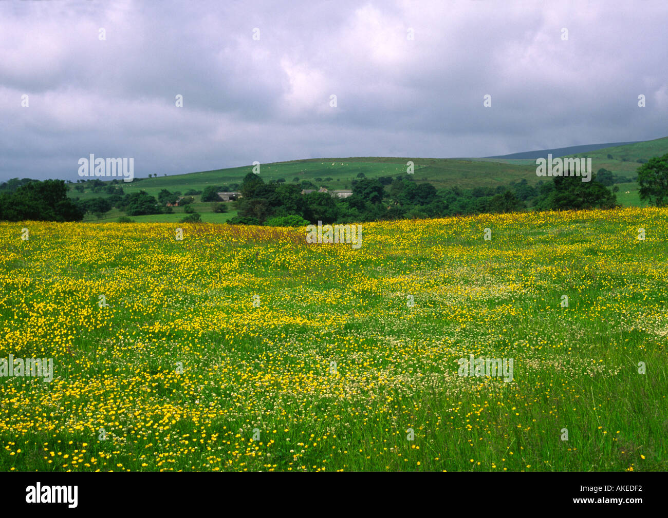 English pastoral scenes hi-res stock photography and images - Alamy
