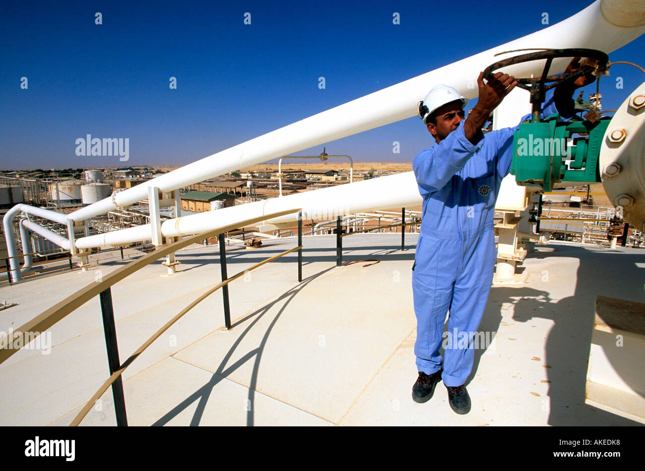 Marmul oil hi-res stock photography and images - Alamy