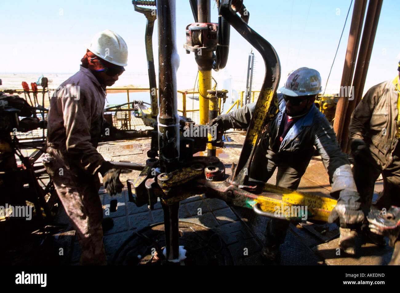 Marmul oil hi-res stock photography and images - Alamy