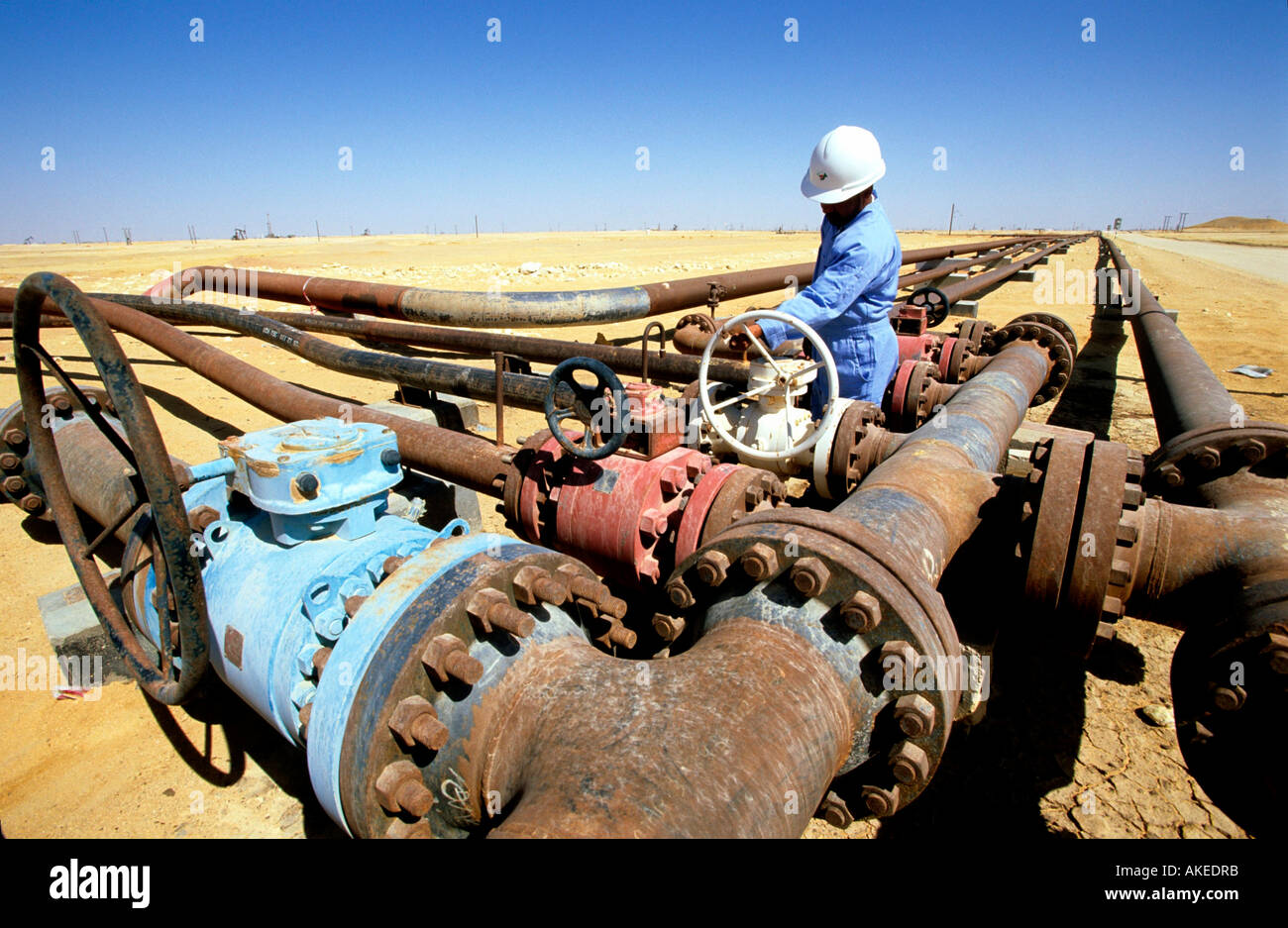 Marmul oil hi-res stock photography and images - Alamy