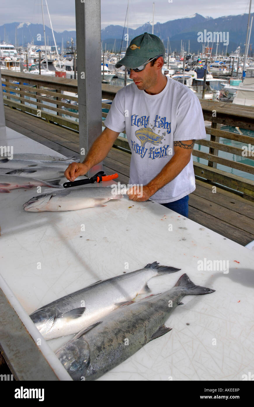 Cleaning Fish Fishing Charter Public Dock Area Boat Harbor Seward ...