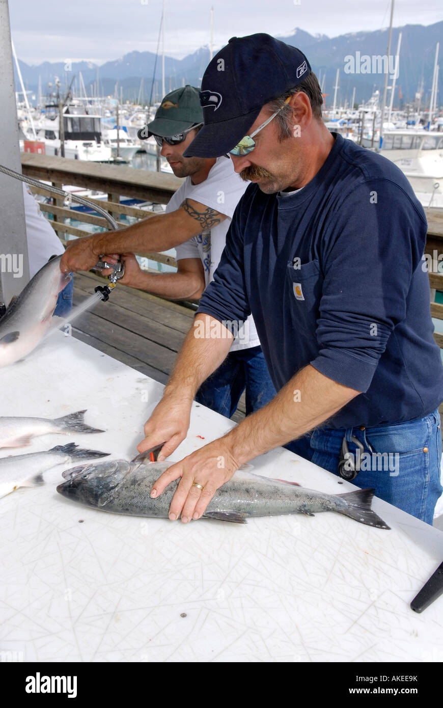 Cleaning Fish Fishing Charter Public Dock Area Boat Harbor Seward ...