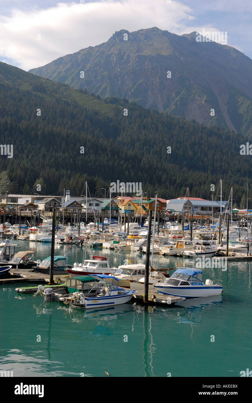 Private and Commercial Boats Docked in Public Harbor Seward Alaska AK U ...