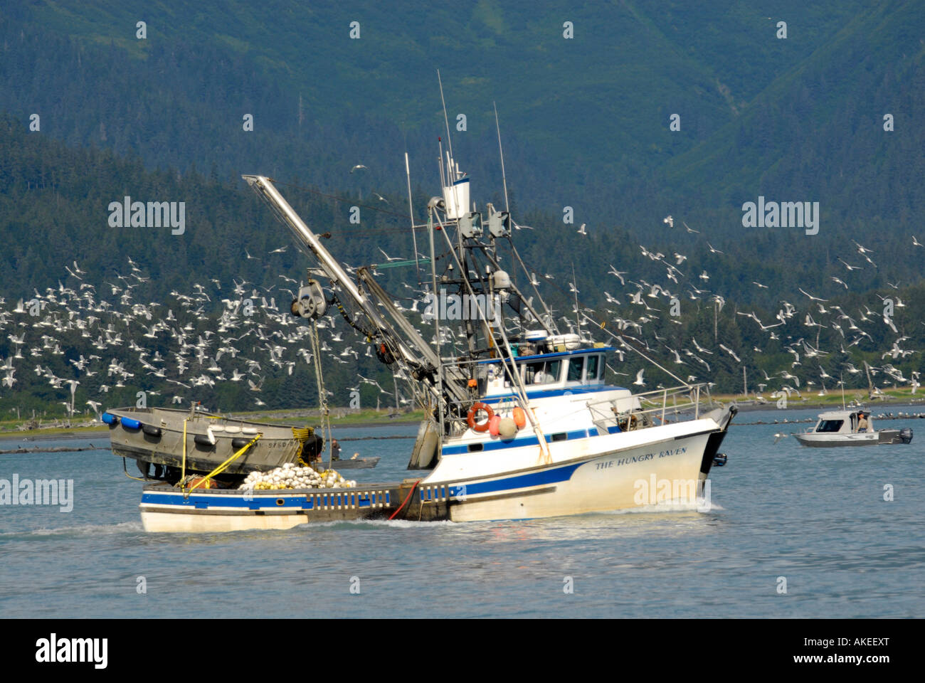 Commercial Fishing Boats surrounded by seagulls in Seward Alaska AK U S ...