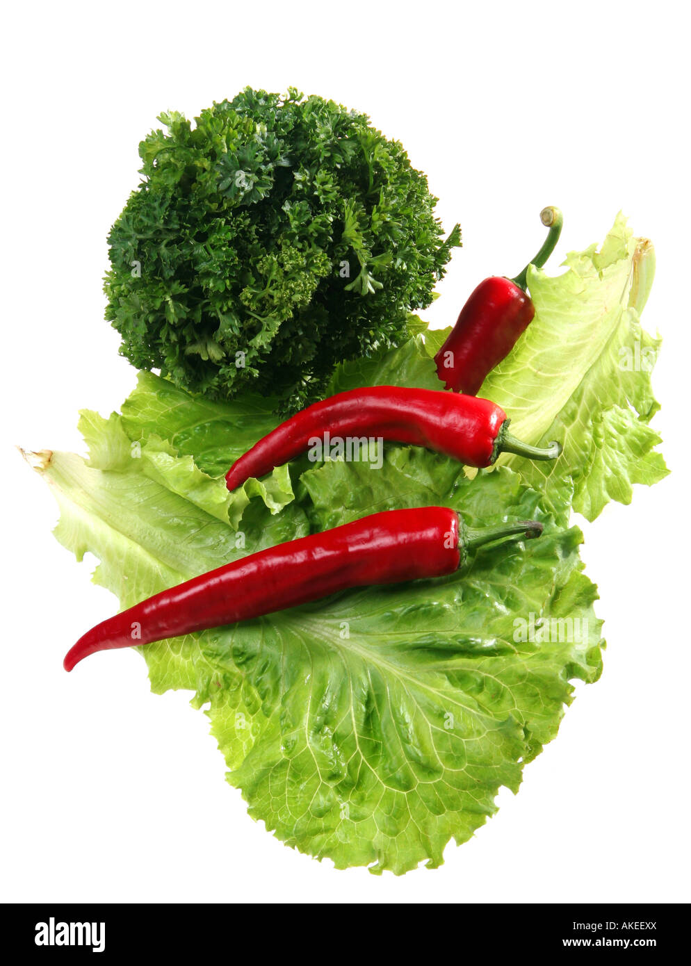 lettuce leaf and pepper isolated on white background Stock Photo - Alamy
