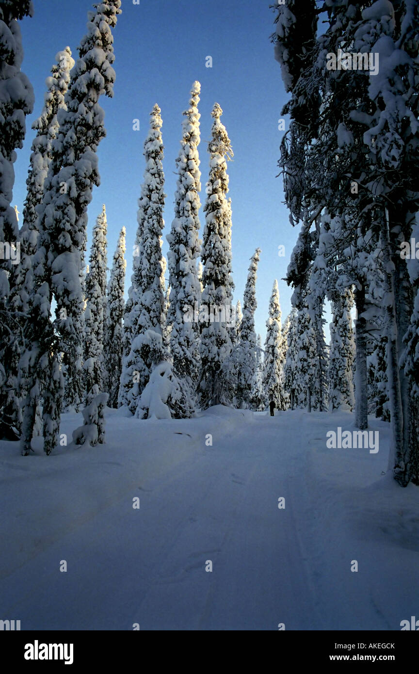Winter in Lapland Stock Photo - Alamy