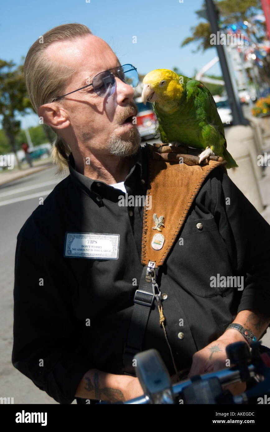 Caucasian male holding parrot on shoulder hi-res stock photography and ...