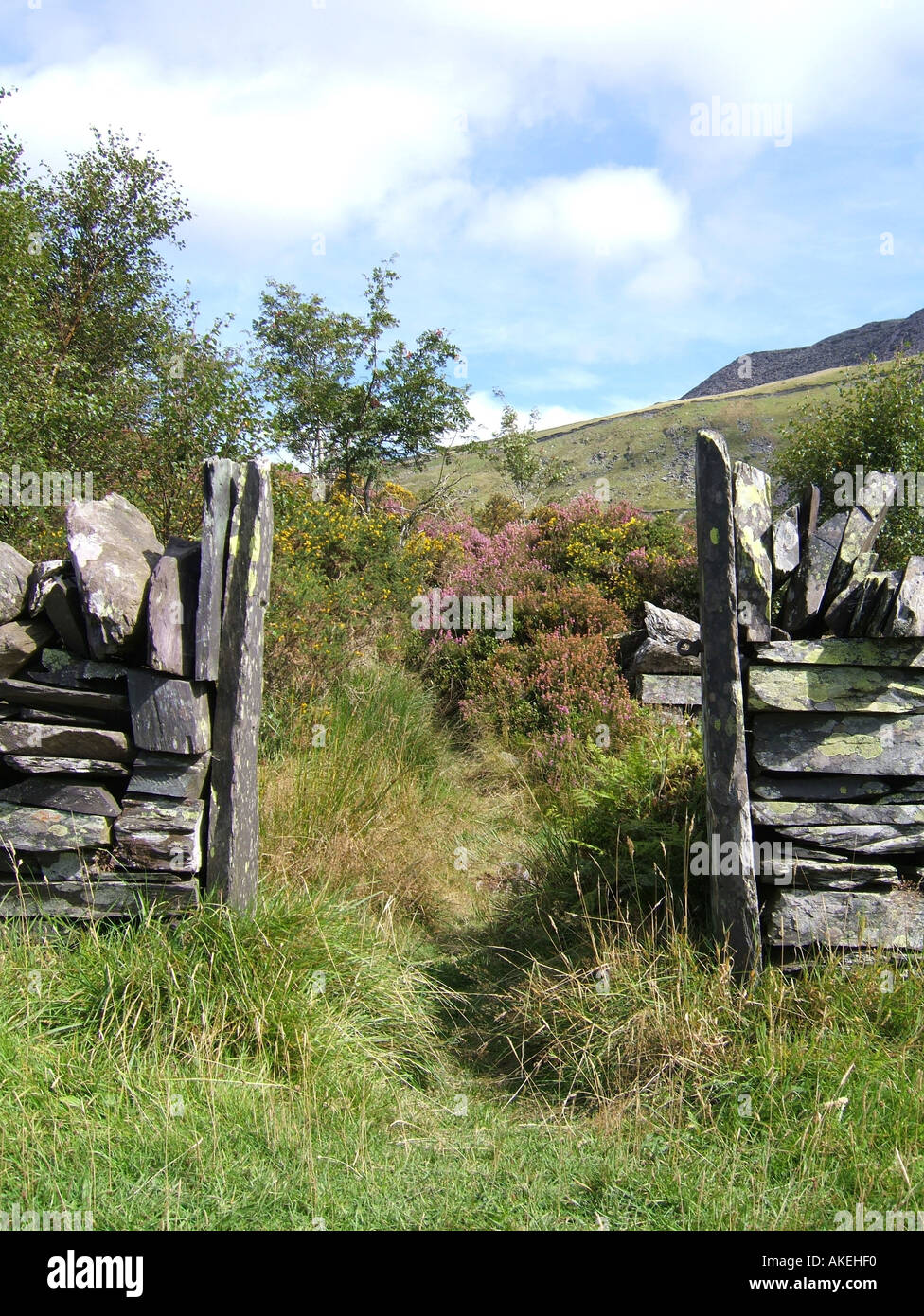 dry stone wall and gate opening in rugged lanscape snowdonia Wales ...