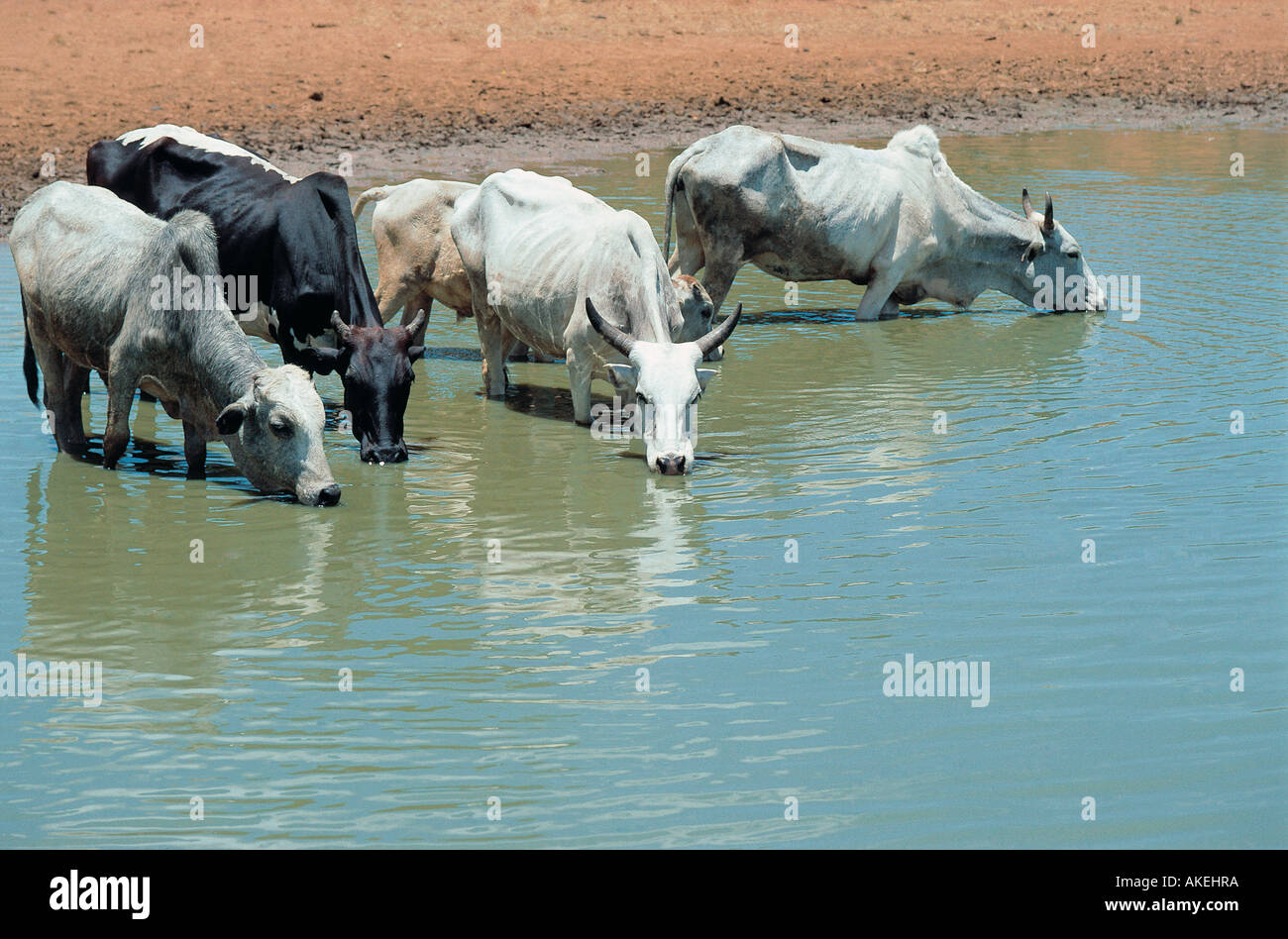 Kbwezi hi-res stock photography and images - Alamy