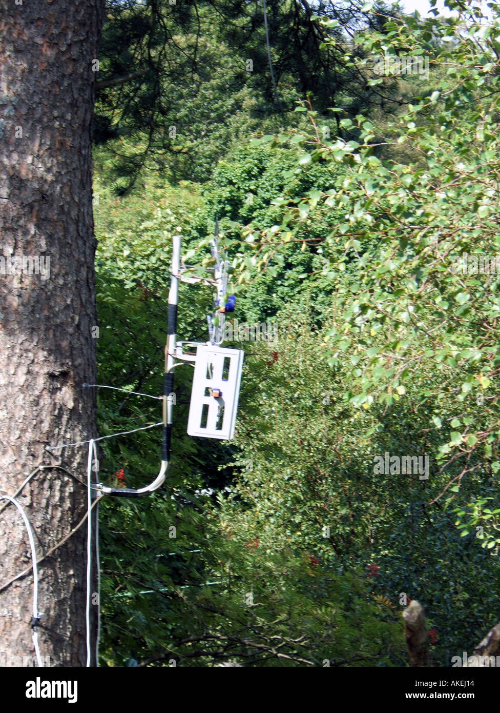 tv aerial attached to a tree Stock Photo - Alamy