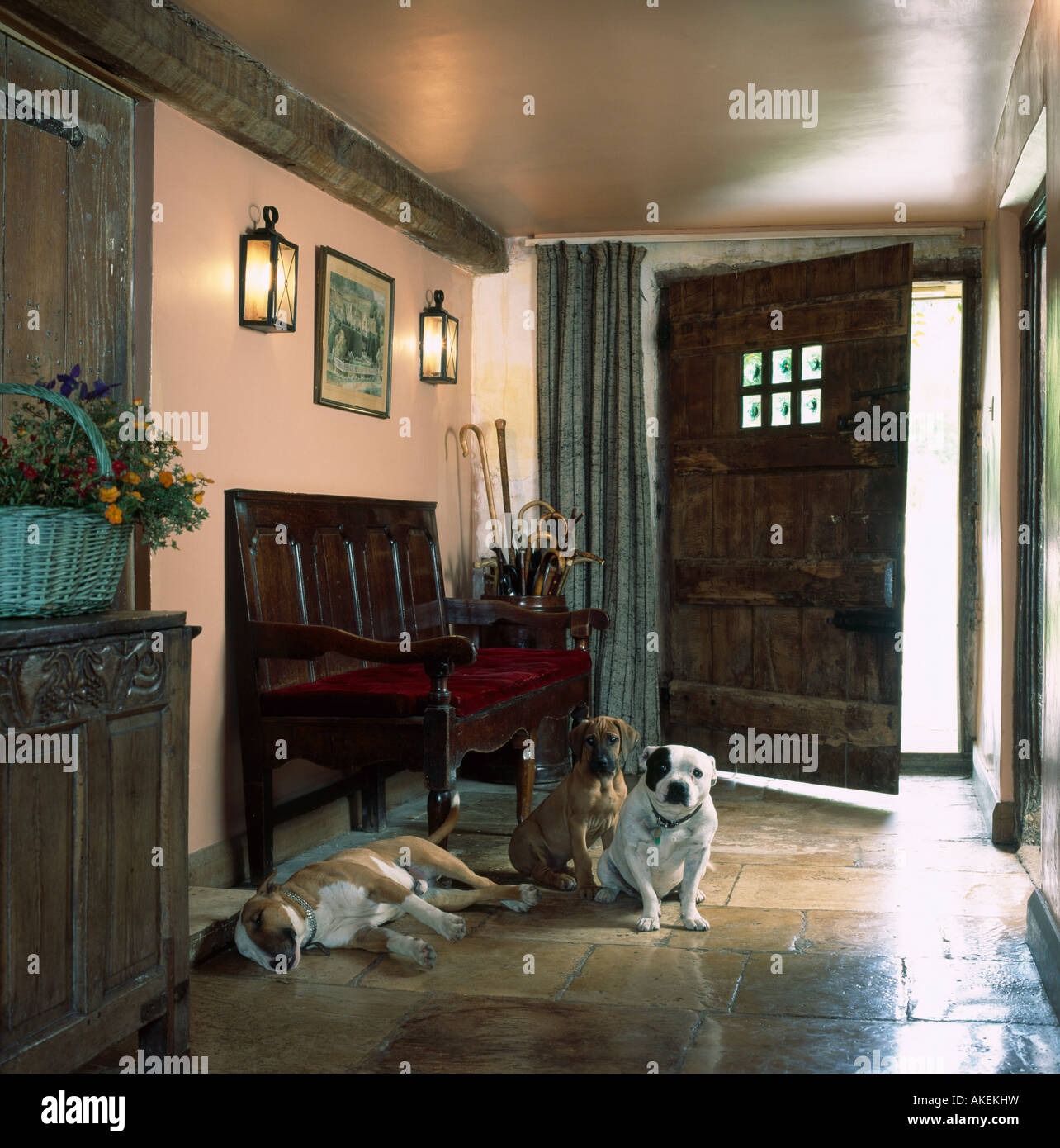 Hall of the animals hi-res stock photography and images - Alamy