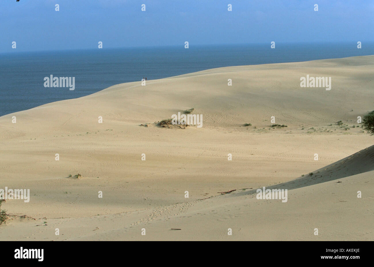 Rossitten hi-res stock photography and images - Alamy