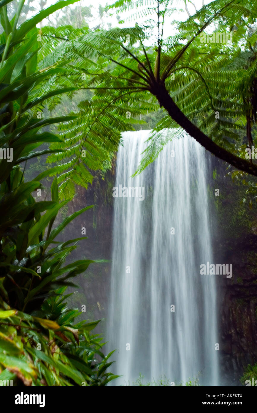 A beautiful waterfall in northern Australia Stock Photo - Alamy