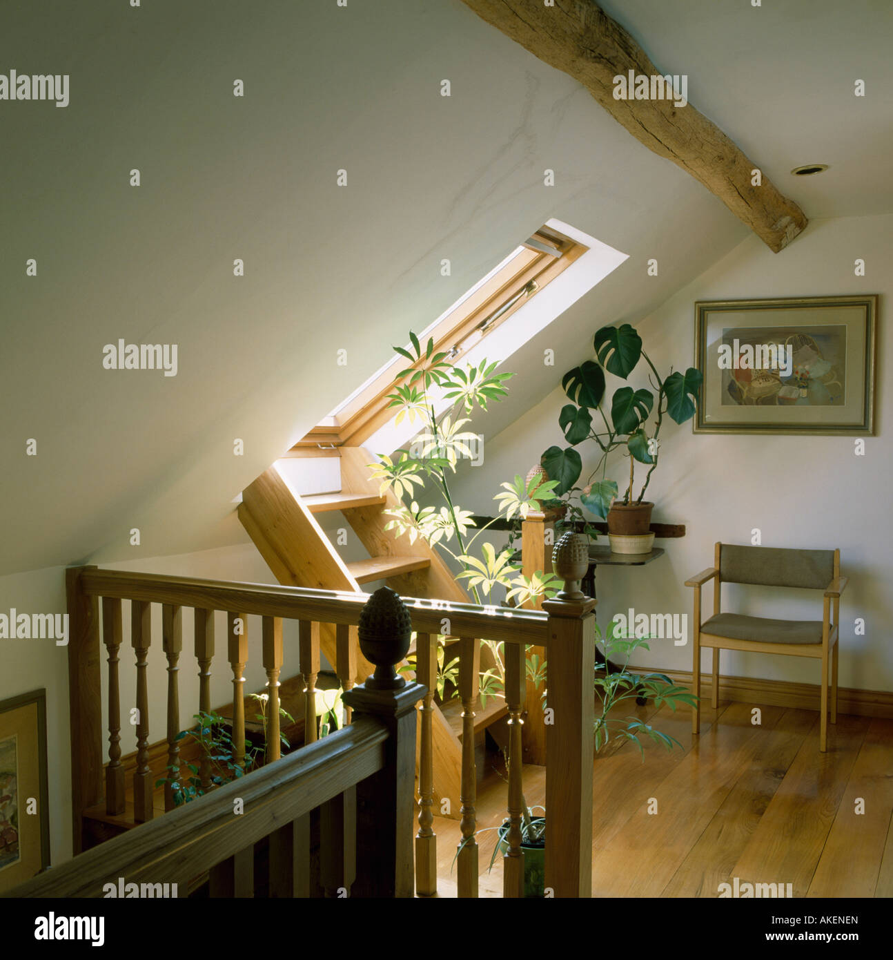 Wooden steps up to Velux window in converted attic with wooden flooring ...