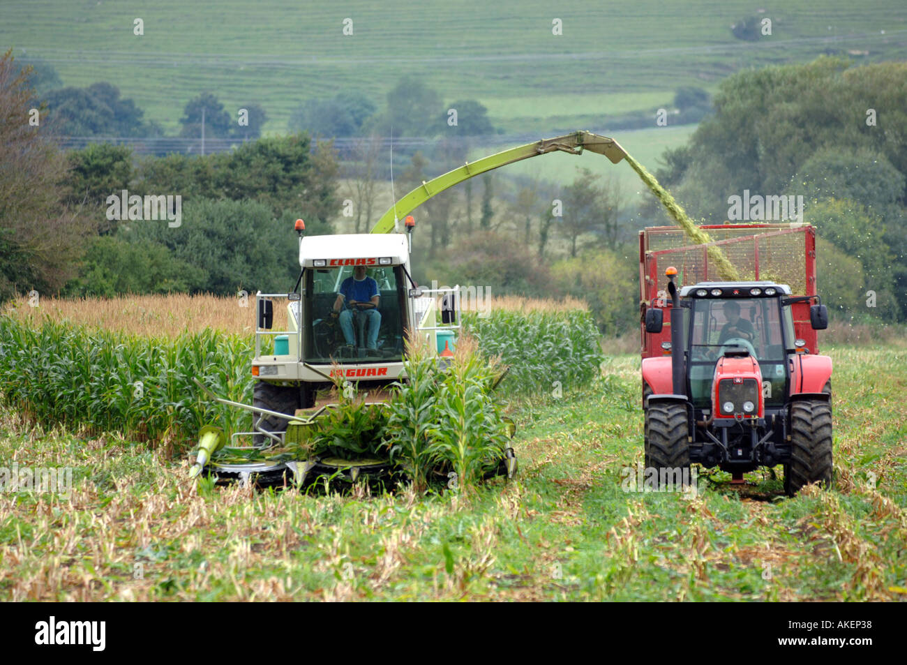 Combine Harvester and tractor harvesting crops Stock Photo - Alamy
