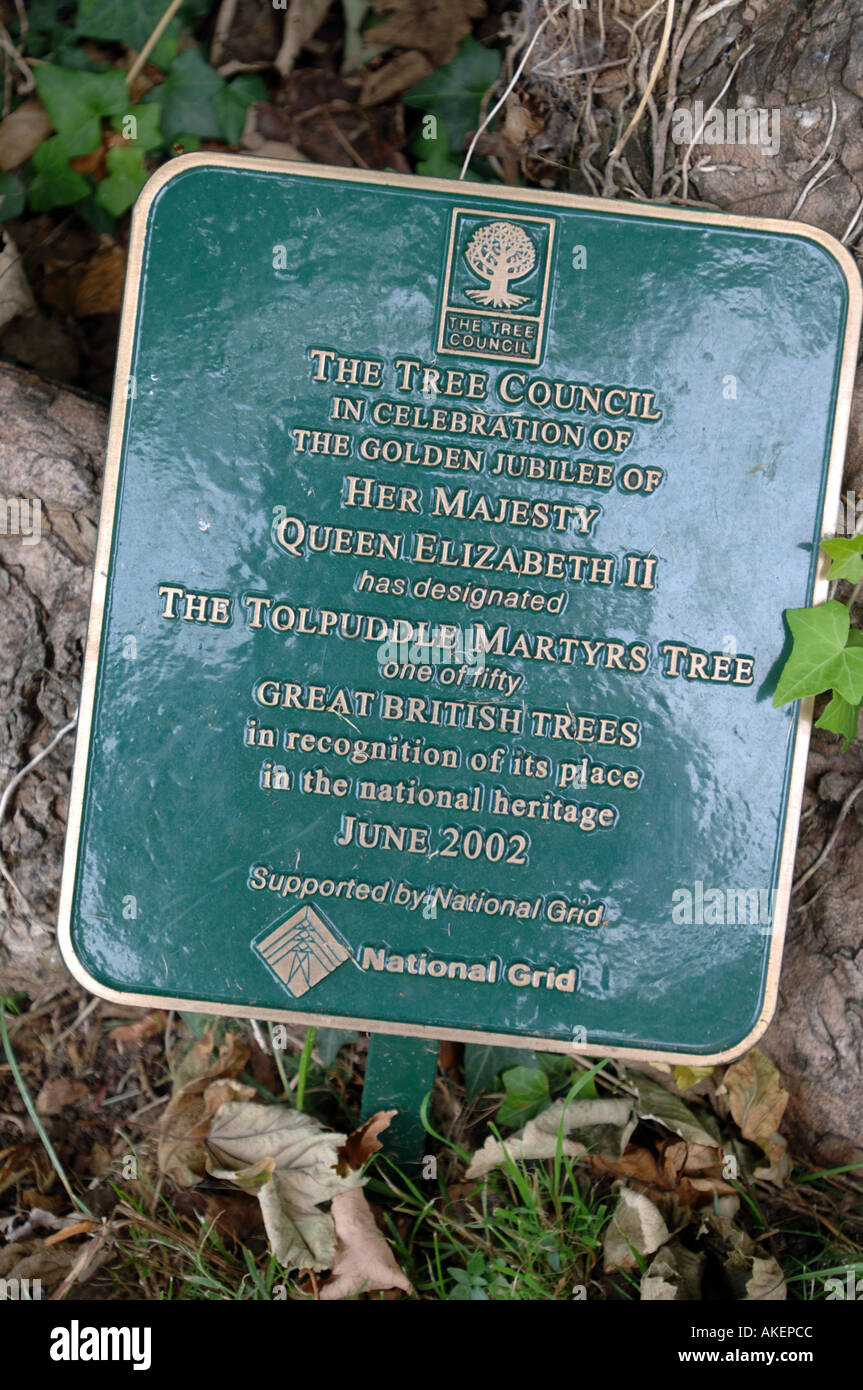 Plaque on the Tolpuddle Martyrs Tree in Tolpuddle Dorset England UK ...