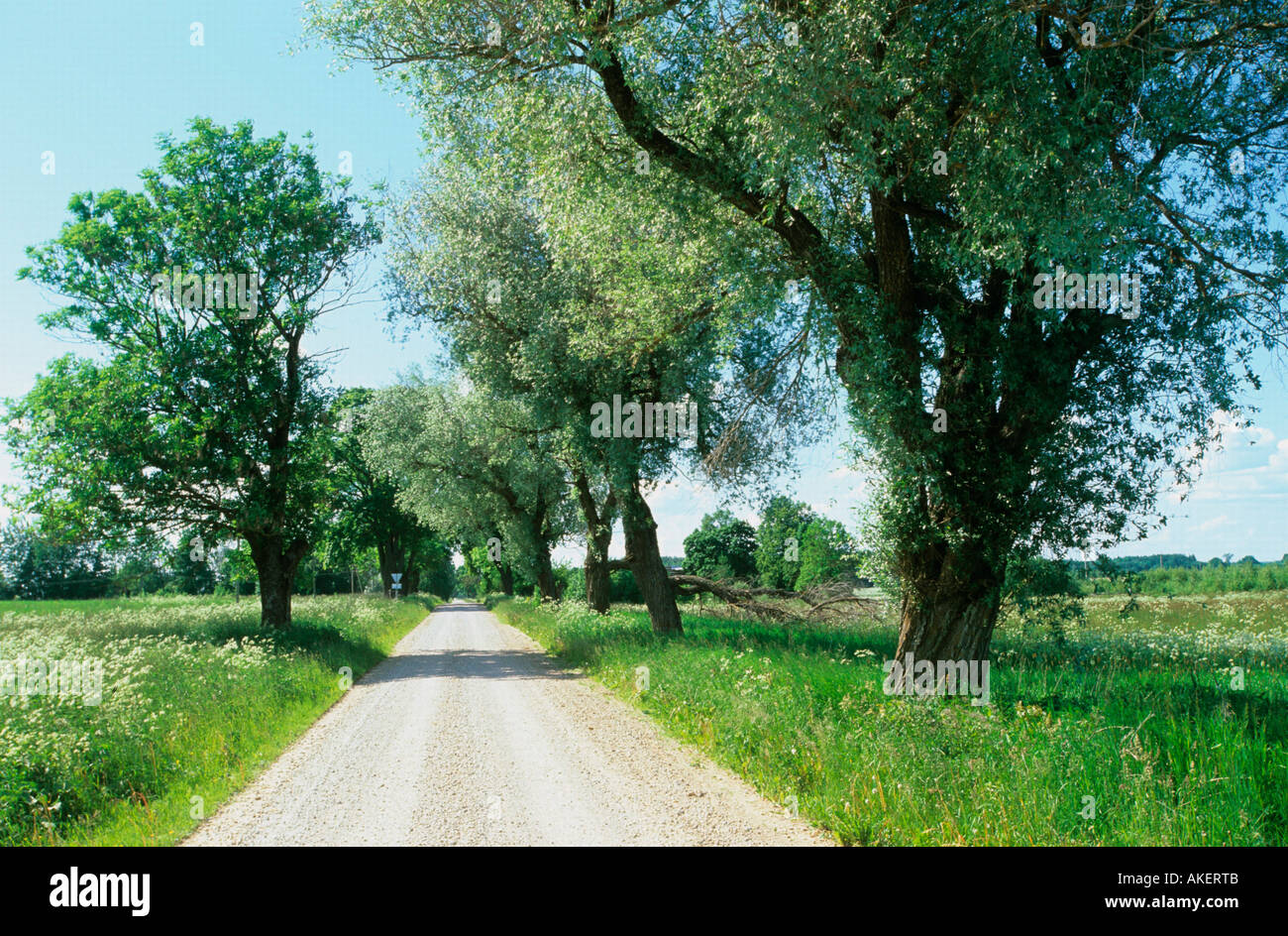 Tartumaa hi-res stock photography and images - Alamy