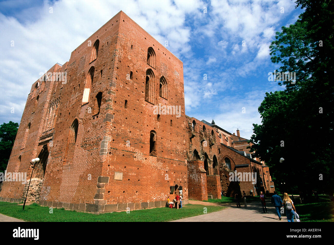 Estland, Tartu (Dorpat), Domhügel, Ruine der Domkirche Stock Photo - Alamy