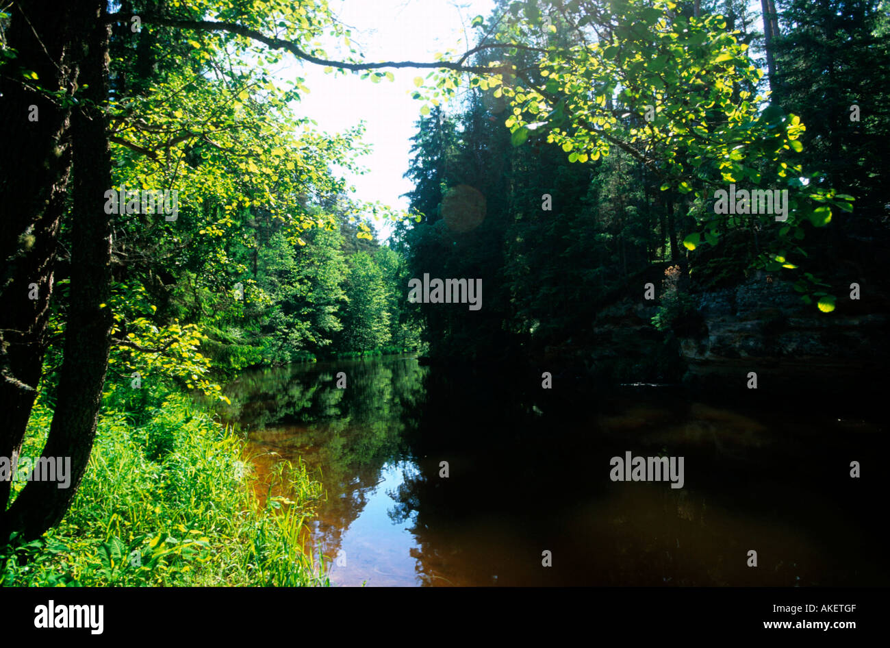 Ahja fluss hi-res stock photography and images - Alamy