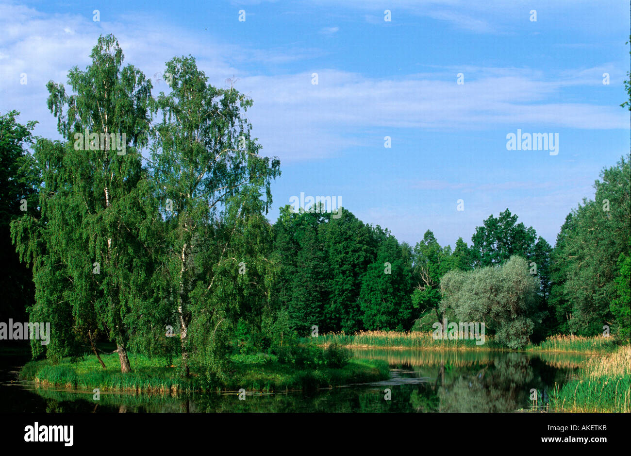 Estland, Antsla (Anzen), See beim Gut Uexküll in Vana-Antsla Stock ...