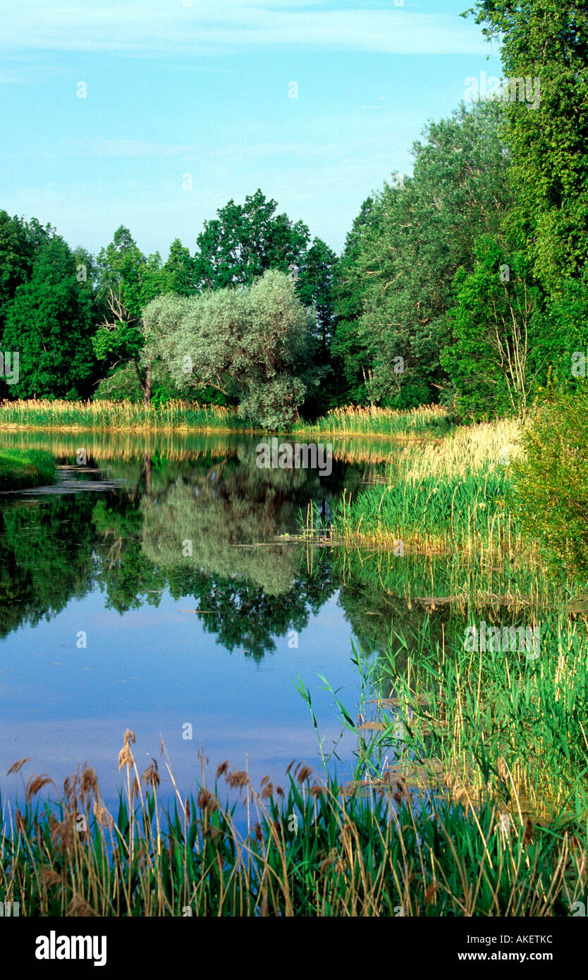 Antsla hi-res stock photography and images - Alamy