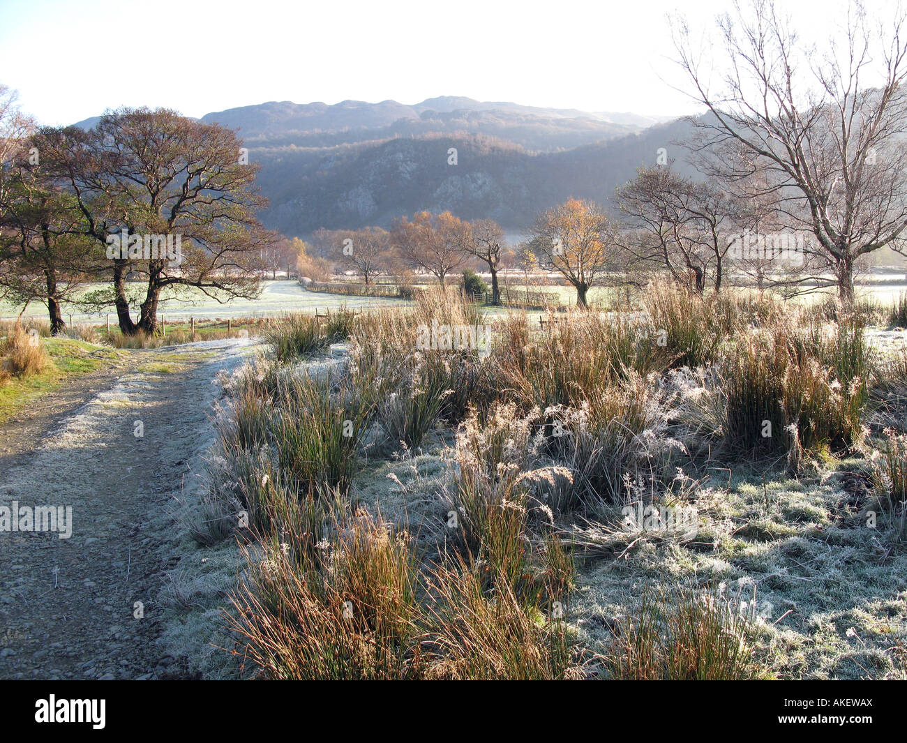 Borrowdale valley in autumn hi-res stock photography and images - Alamy