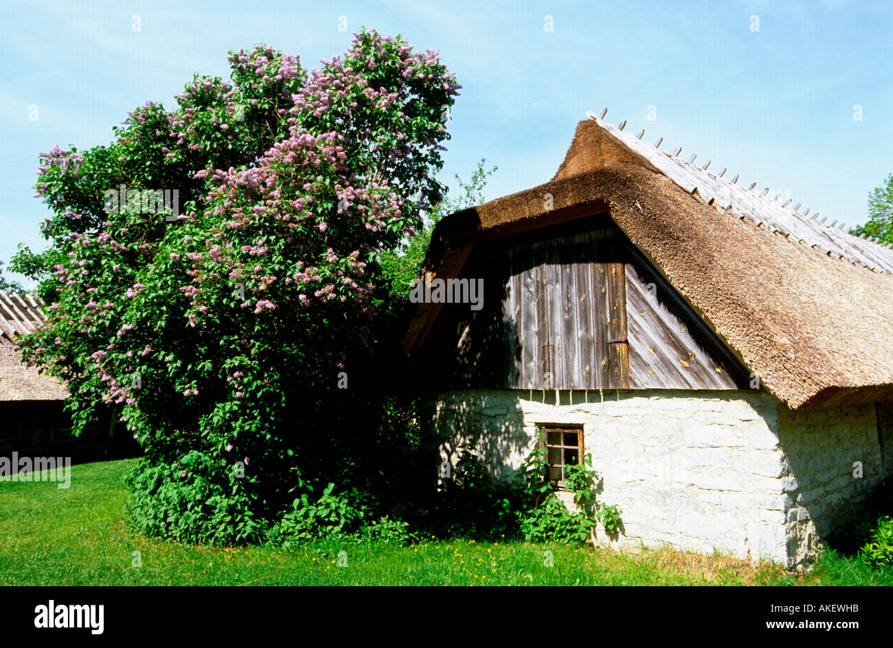 Estland, Insel Muhu, Koguva, Freilichtmuseum Stock Photo - Alamy