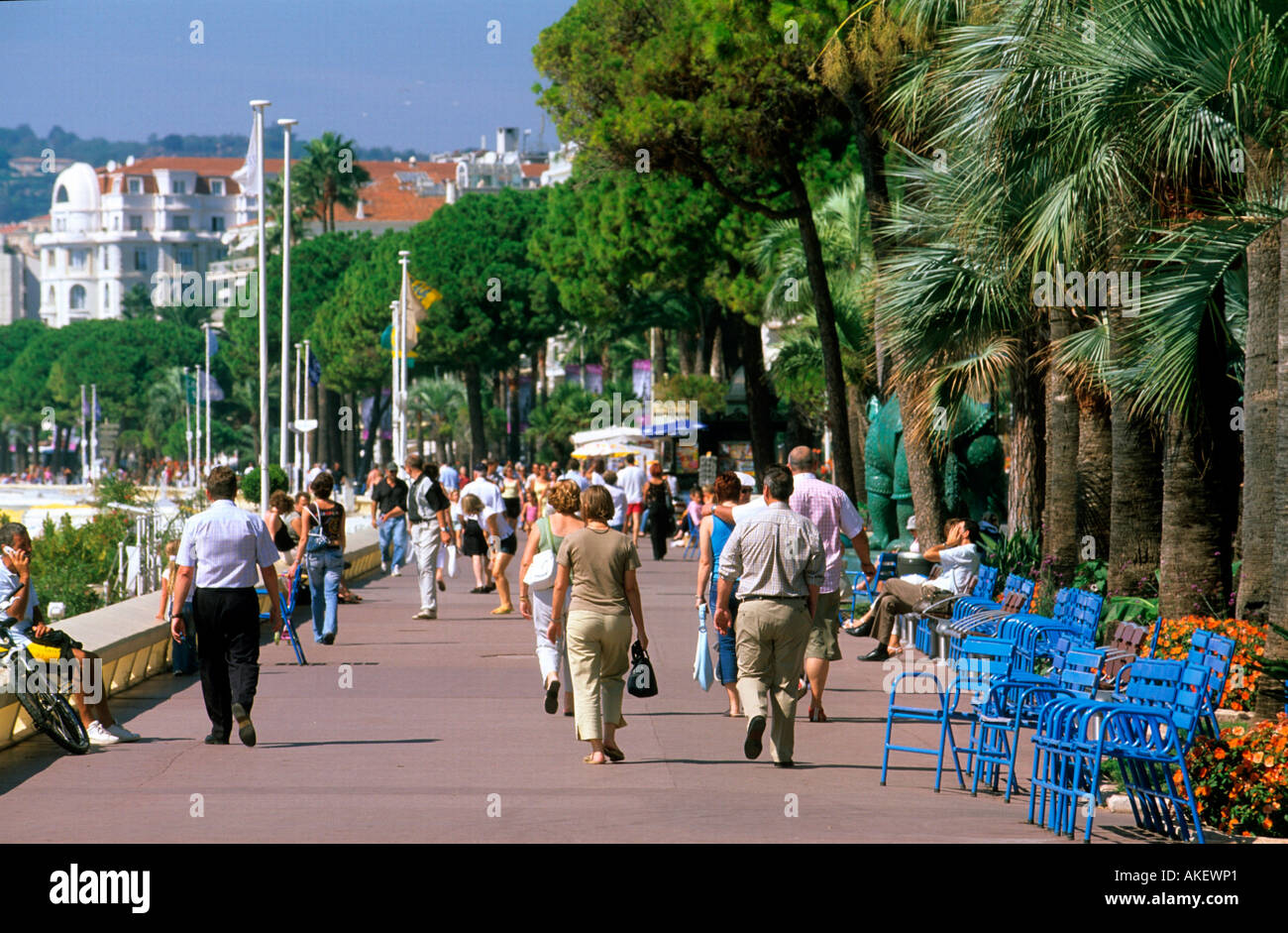 Frankreich, Cote d Azur, Cannes, Promenade am Boulevard de la Croisette ...