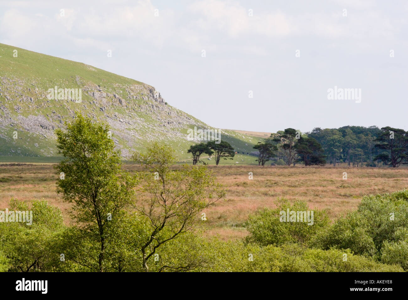 Limestone country hi-res stock photography and images - Alamy