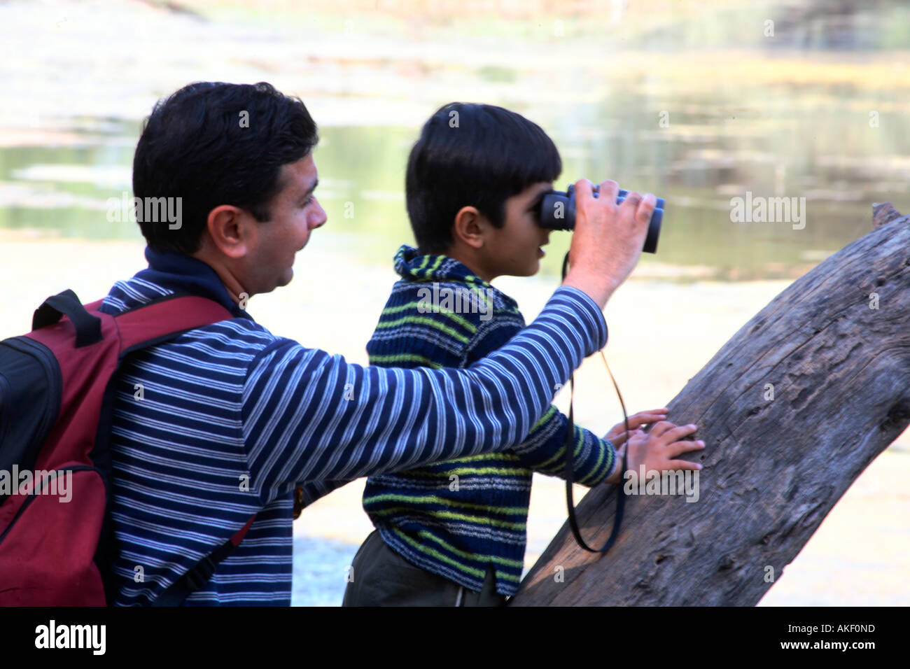Father and son birdwatching hi-res stock photography and images - Alamy