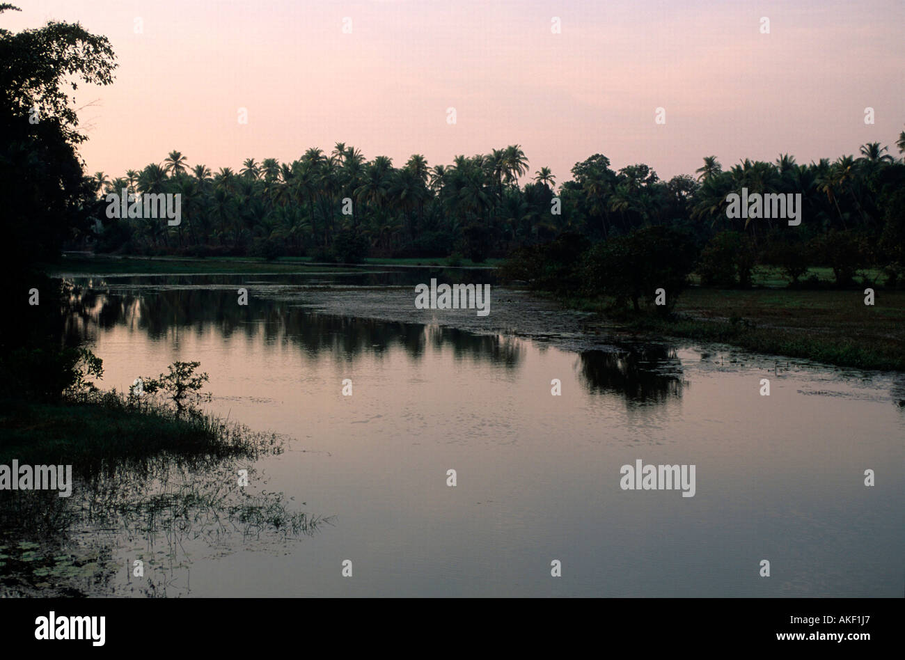 Sal river goa hi-res stock photography and images - Alamy