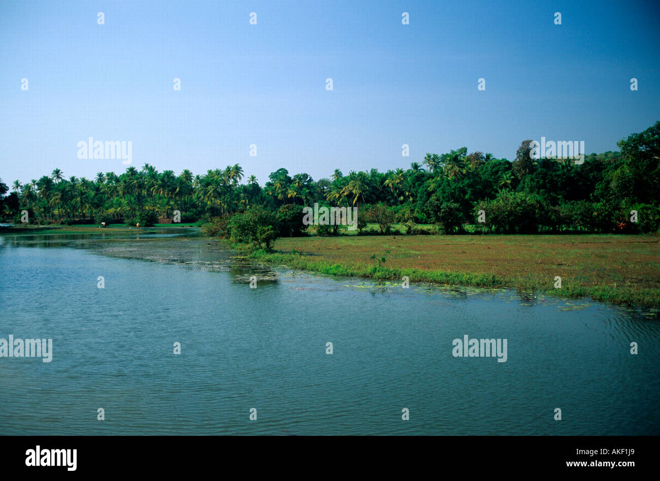 Sal river hi-res stock photography and images - Alamy