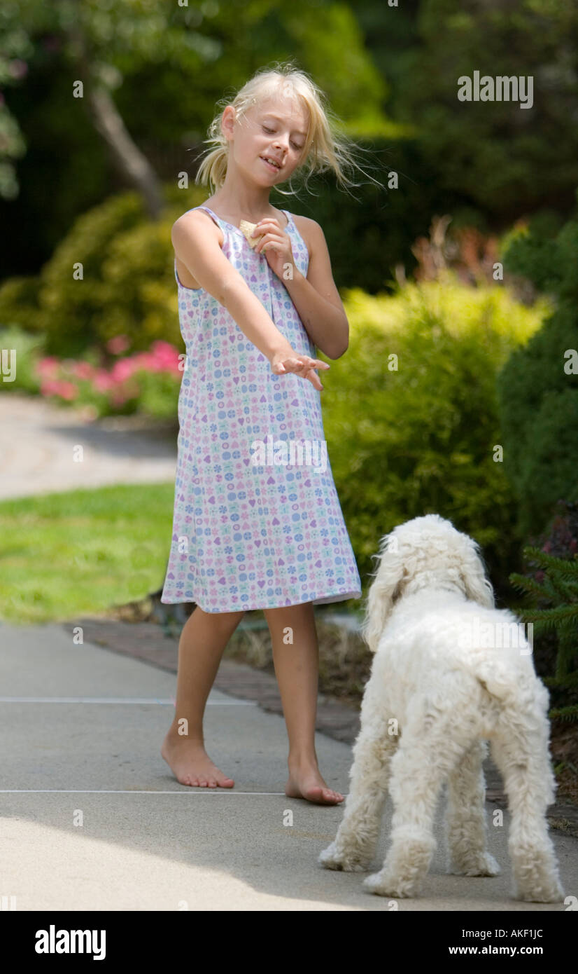 Child teaching her dog to stay Stock Photo - Alamy