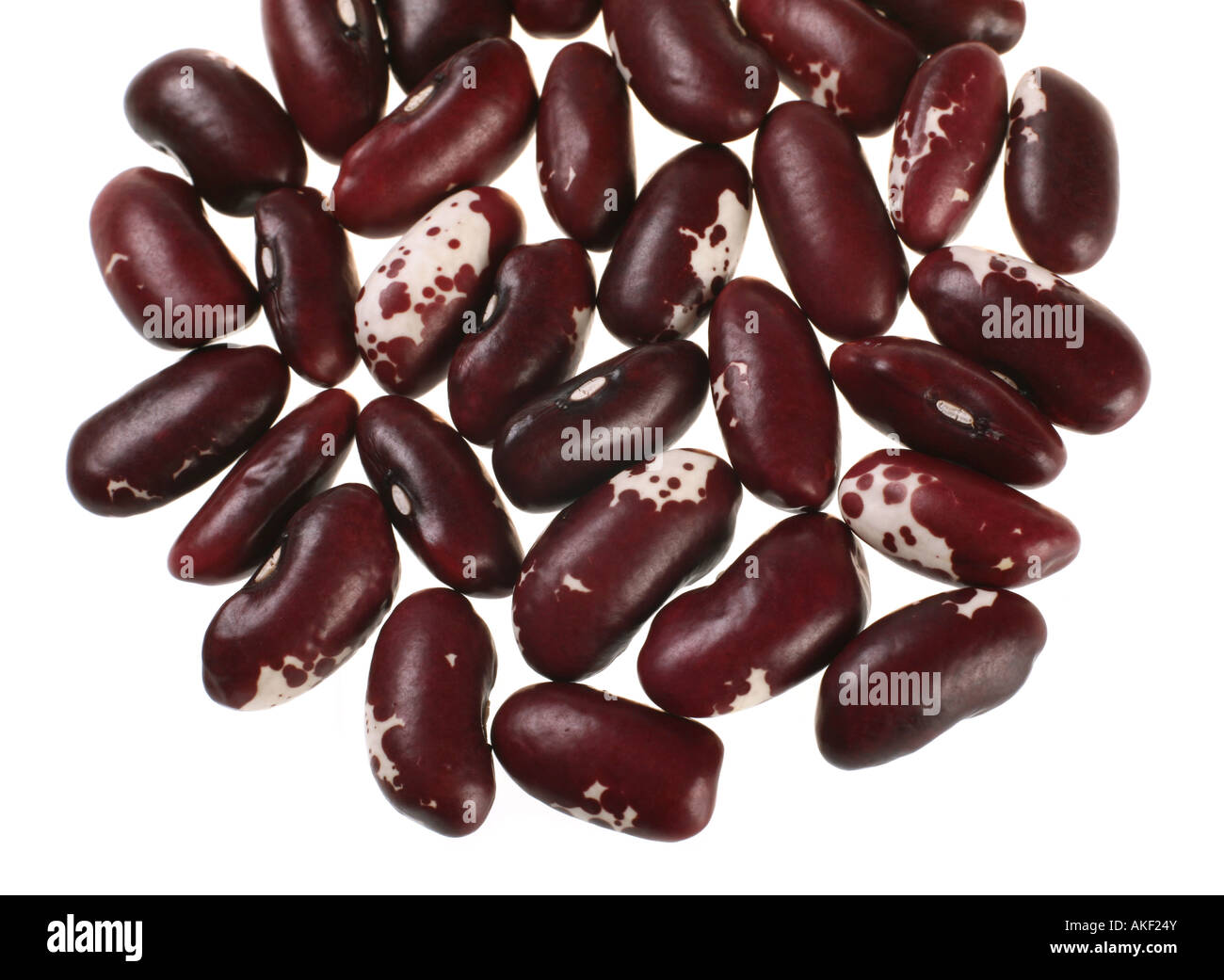 Brown kidney bean isolated on white background Stock Photo - Alamy